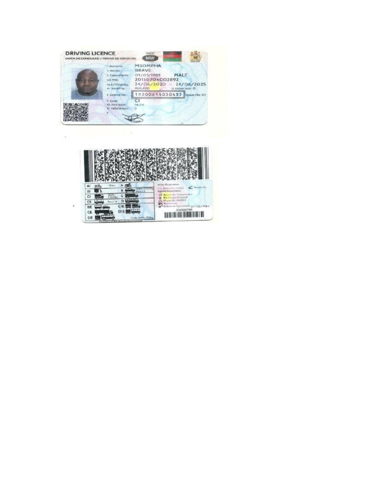Driving Licence | PDF
