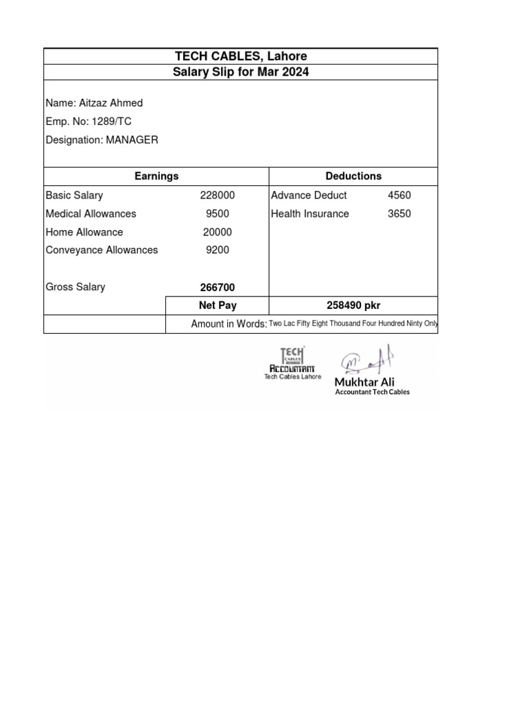 Salary Slip Mar 24 | PDF | Computers | Technology & Engineering