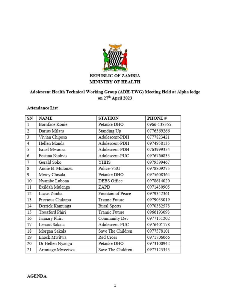 27 April 2023 TWG Meeting | PDF | Adolescence | Teenage Pregnancy