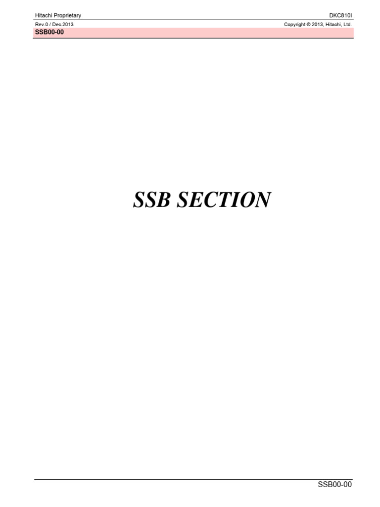 12 SSB | PDF | Computer Data Storage | Bit