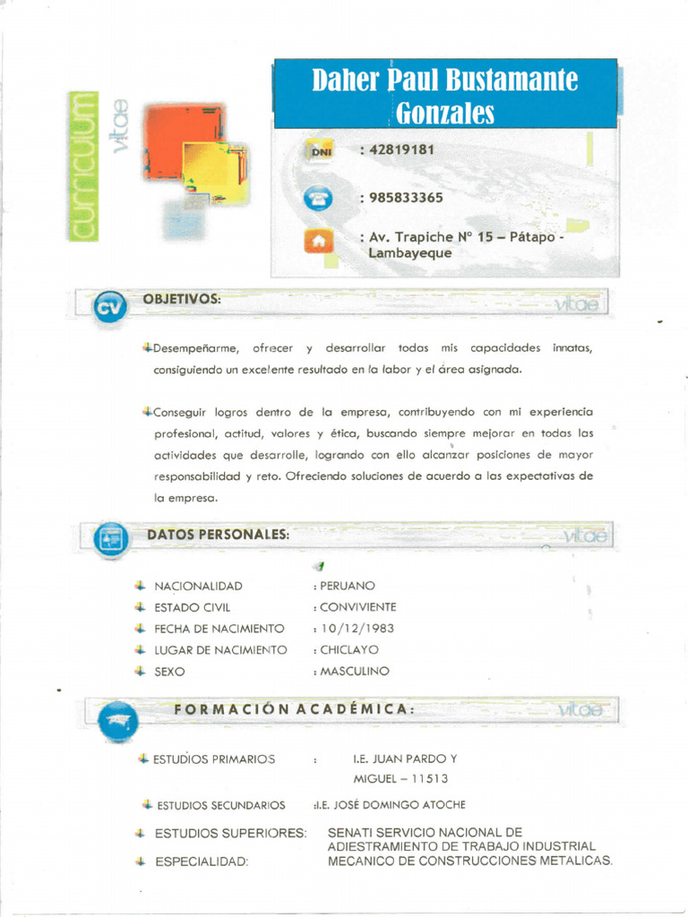 CV - Actulizado Daher Paul | PDF