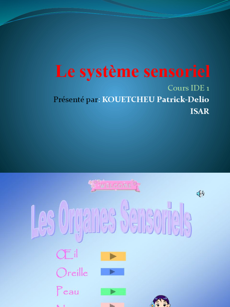 Le Système Sensoriel COURS | PDF | Goût | Sens (physiologie)