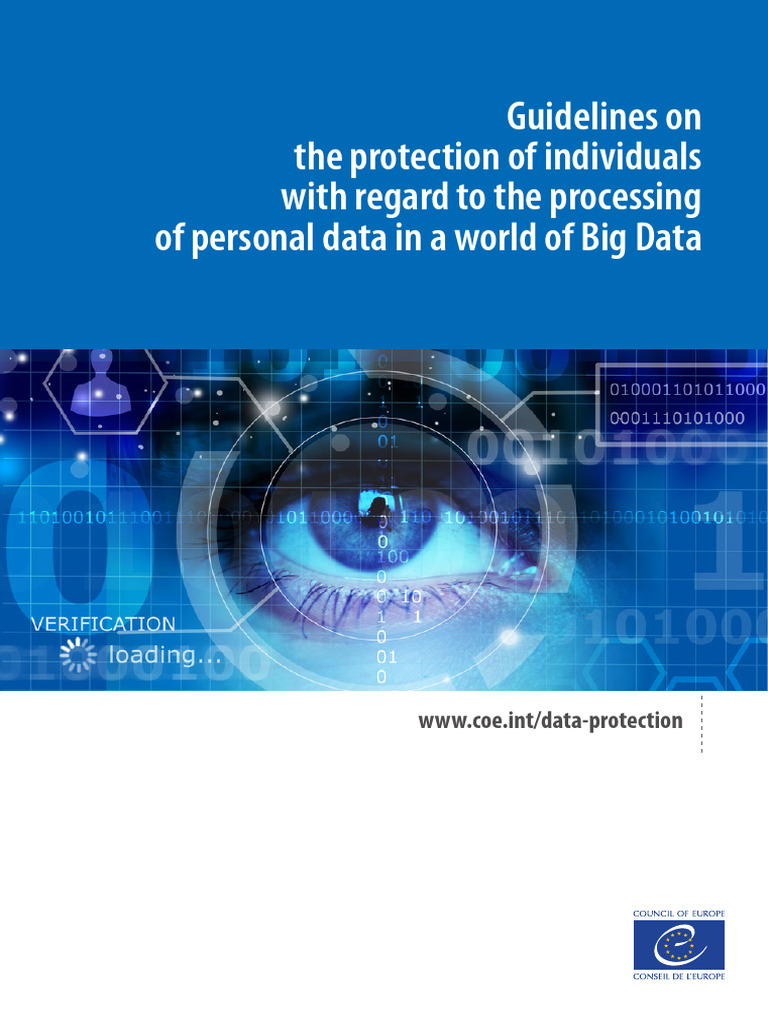 BigDataGuidelines ENG PDF | PDF | Big Data | Risk Assessment