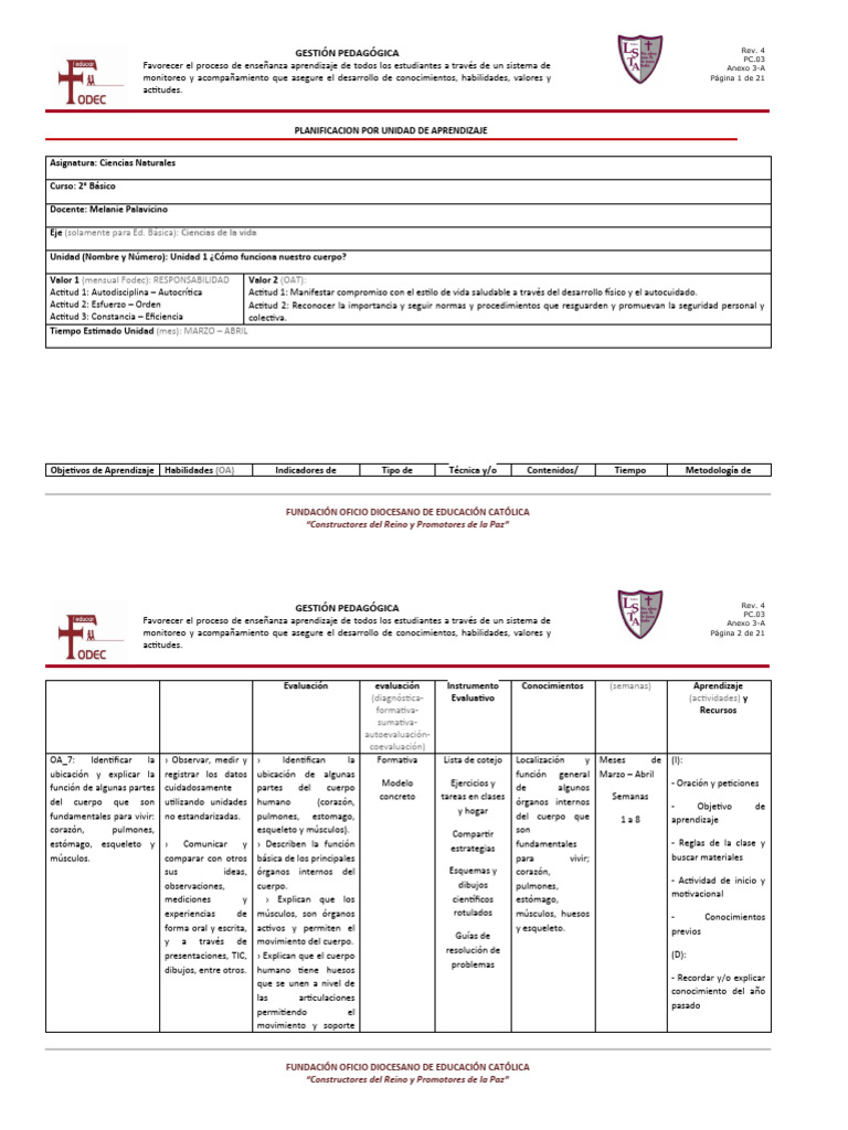 Formato Planificación Por Unidad de Aprendizaje - Ciencias 2° Básico | PDF | Evaluación ...