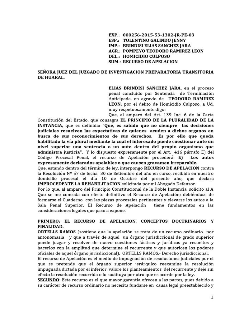 Principio de La Pluralidad de La Instancia | PDF | Apelación | Castigos