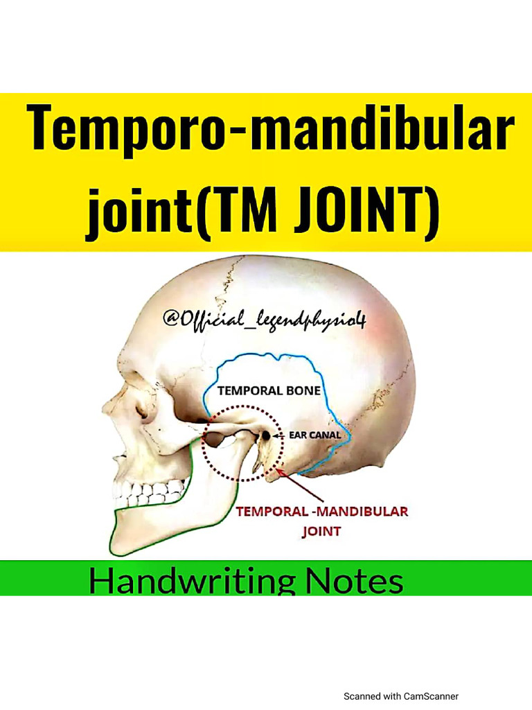 TM_JOINT | PDF