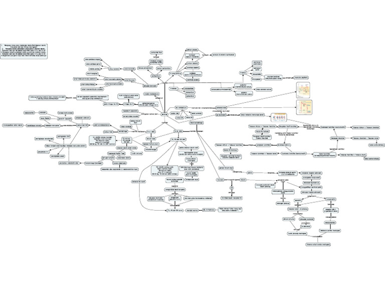 Peta Konsep Perjalanan Penyakit | PDF