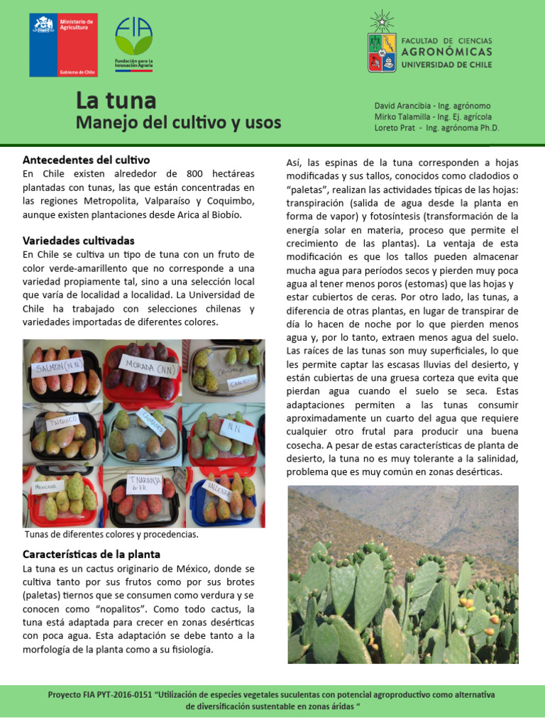 Ficha Tecnica Tuna | Descargar gratis PDF | Riego | Agua