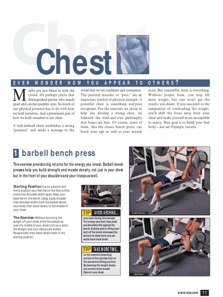 Body For Life - Chest Training | PDF | Human Anatomy | Musculoskeletal ...