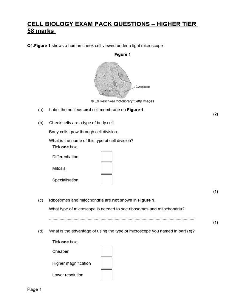 Cell Biology Questions Higher | Download Free PDF | Stem Cell ...