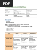 Reflejo de Marcha Automática en Bebés | PDF | Anatomía humana | Anatomía