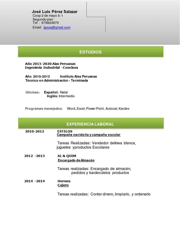 Cvjoseluisperezsalazar 2023 | PDF | Documento de identidad | Business