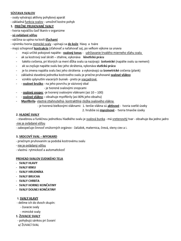 Sústava Svalov | PDF