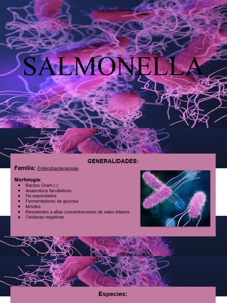 Bacteria Salmonella SSP | PDF | Salmonela | Epidemiología