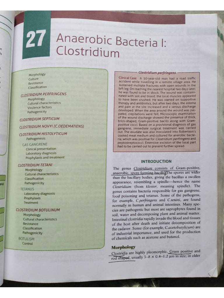 Bacteriology | PDF