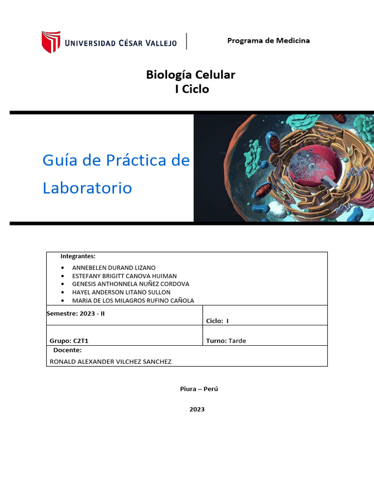 GUÍA PRÁCTICA LAB. SEM 07. APARATO DE GOLGI-LISOSOMAS - Grupo 3 | PDF | Páncreas | Anatomía