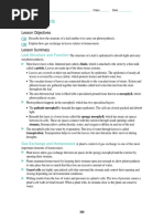 S9 Unit 4 Worksheets | PDF | Root | Leaf