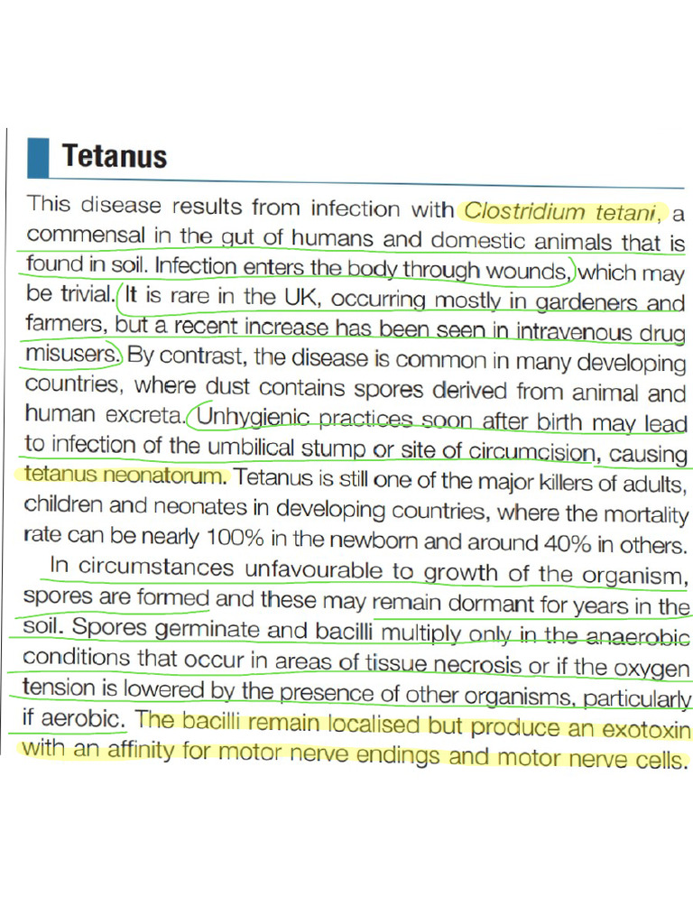 Tetanus | PDF