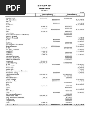 Trial Balance Format Pdf