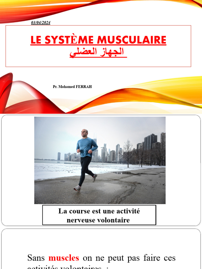 Le Systeme Musculaire Serie D Exercices PPT 2 | PDF | Muscle | Muscle ...