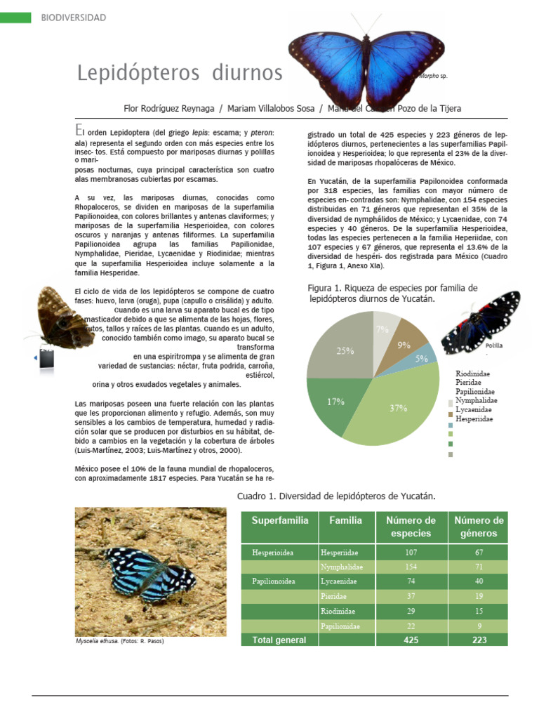 42 Lepidopteros | PDF | Mariposa | Lepidópteros