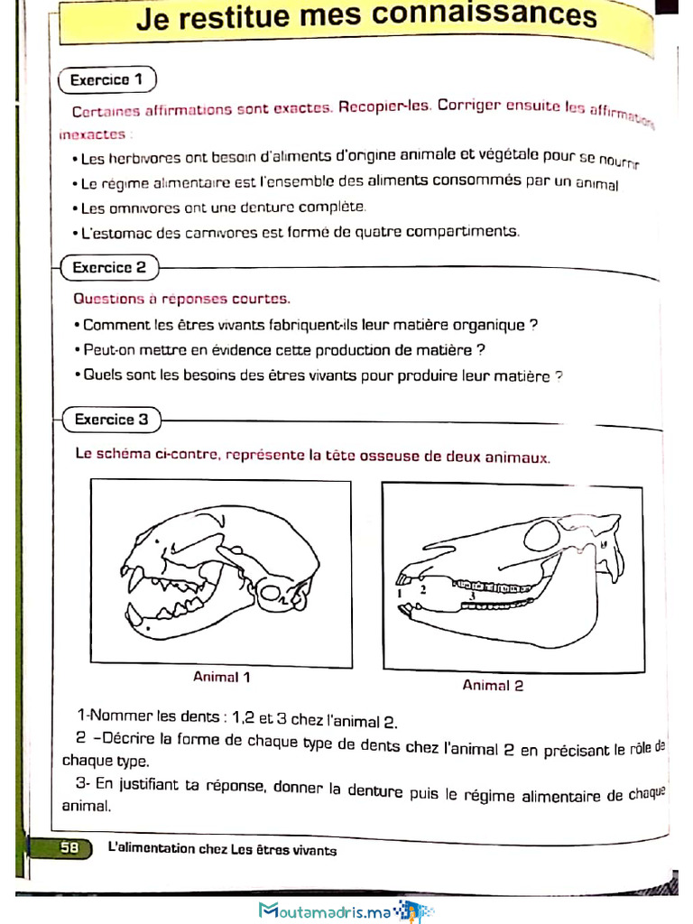 Exercices SVT 1college International 3 3 | PDF