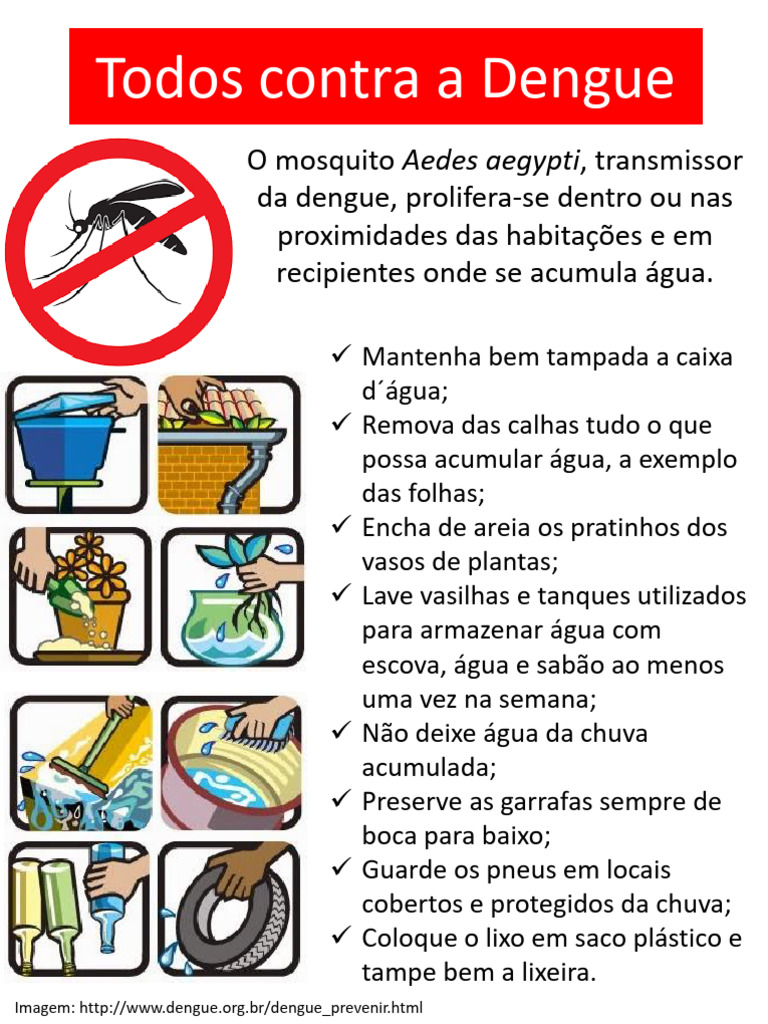 Panfletos Dengue | PDF