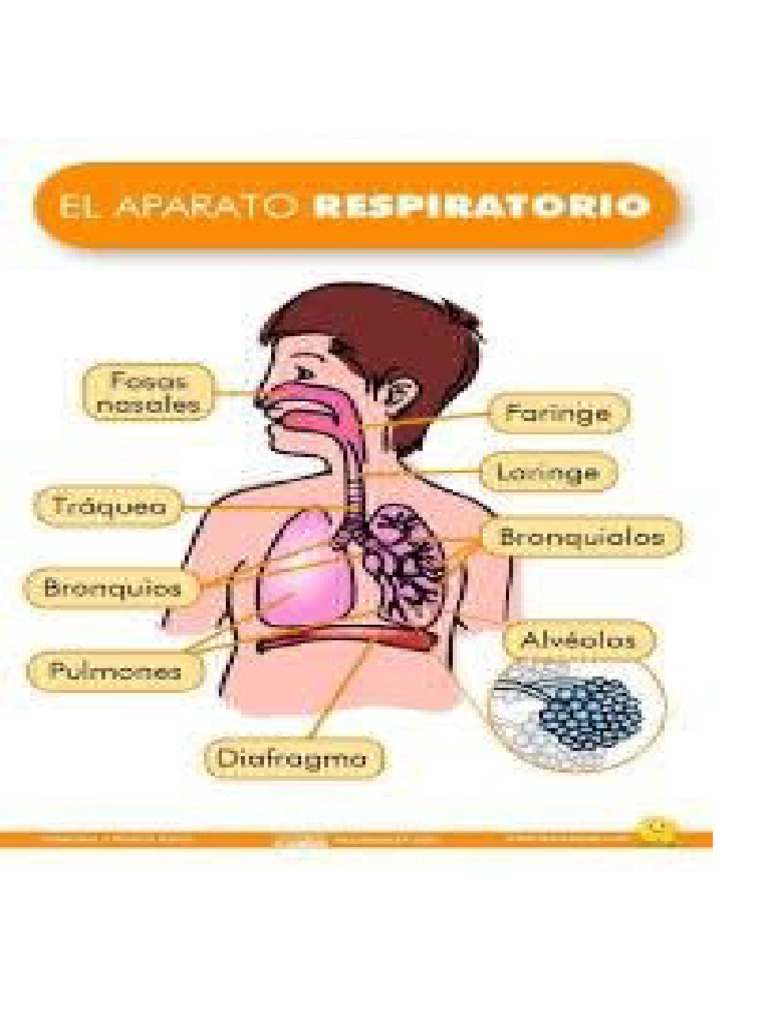 Sistema Gladys | PDF