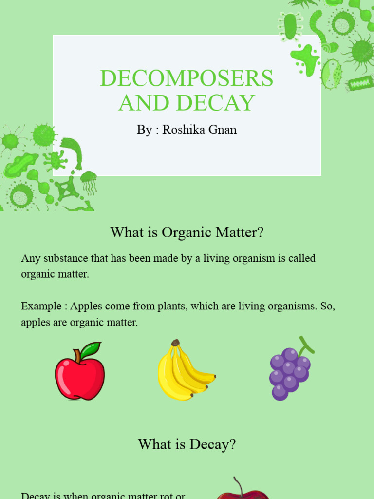 Understanding Decomposers and Decay | PDF