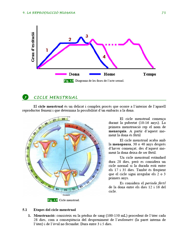 Dossier CCNN 3r ESPA 075 | PDF