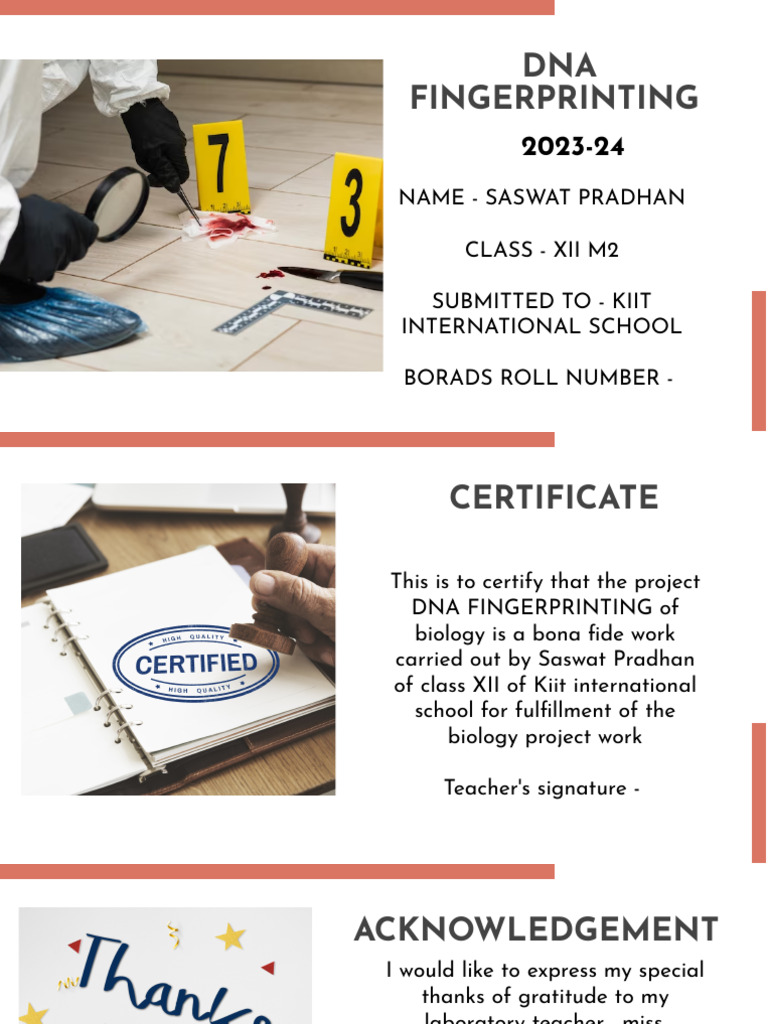 DNA Fingerprinting Project | PDF