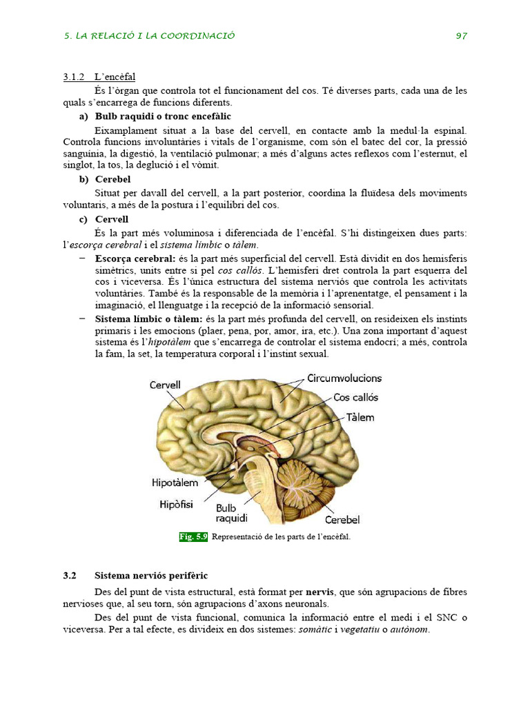 Dossier CCNN 3r ESPA 097 | PDF