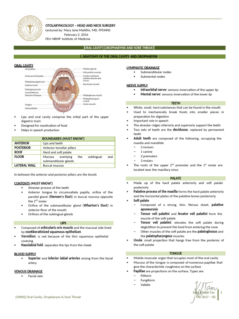 Oral Cavity, Oropharynx & Sore Throat | PDF | Esophagus | Tongue