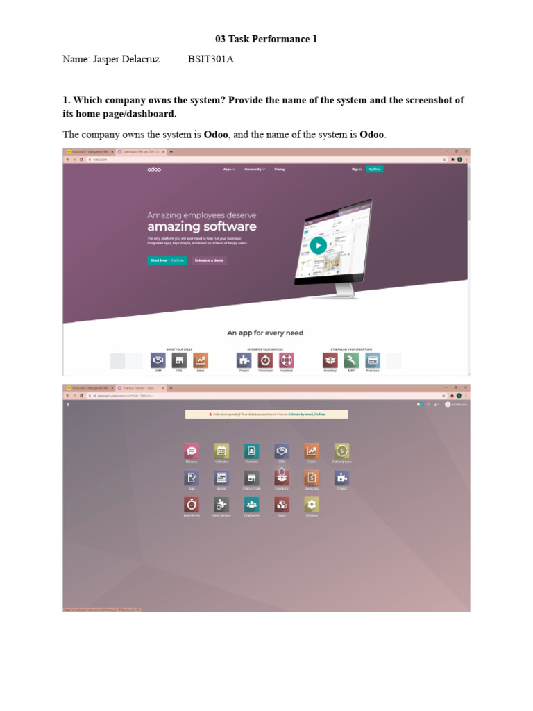 03 Task Performance 1 - DelacruzBSIT301A | PDF | Usability | Computer ...