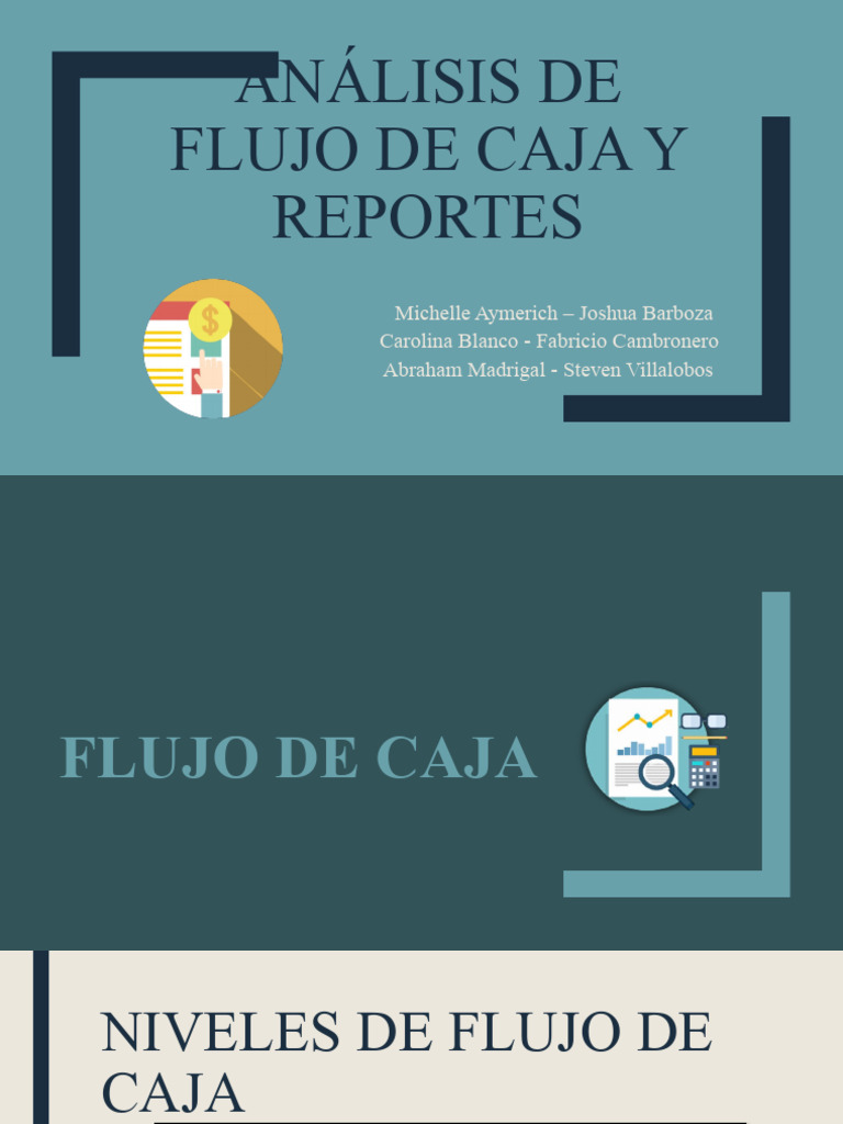 FLUJO DE CAJA | PDF