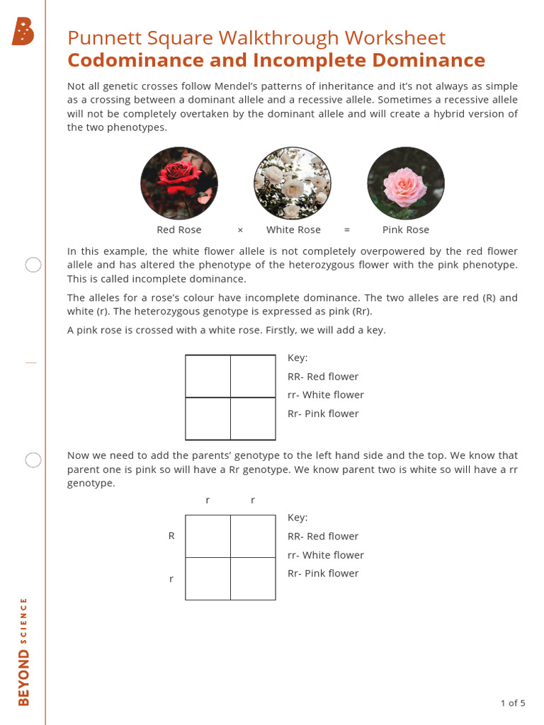 Lesson Two Codominance and Incomplete Dominance | PDF