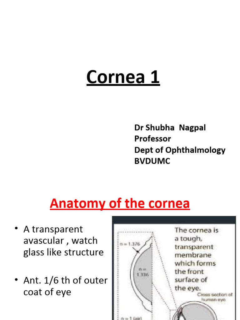 Cornea - 1 | PDF | Cornea | Epithelium