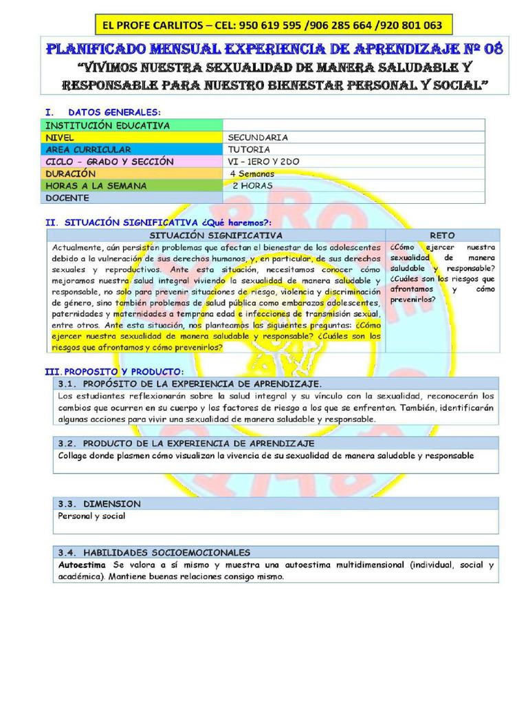 Planificador de La Experiencia 8-Ciclo Vi - 1ero y 2do - Tutoria - 00001 | PDF