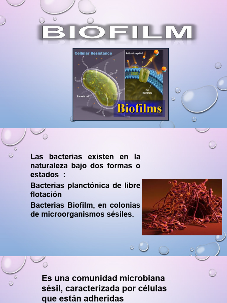 Biofilm | PDF | Biopelícula | Las bacterias