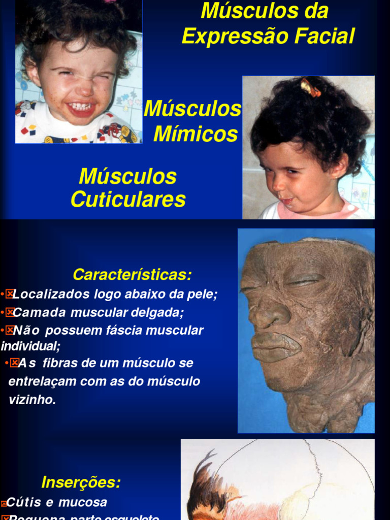 Músculos Da Mímica Facial 2024-1 | PDF | Rosto | Boca