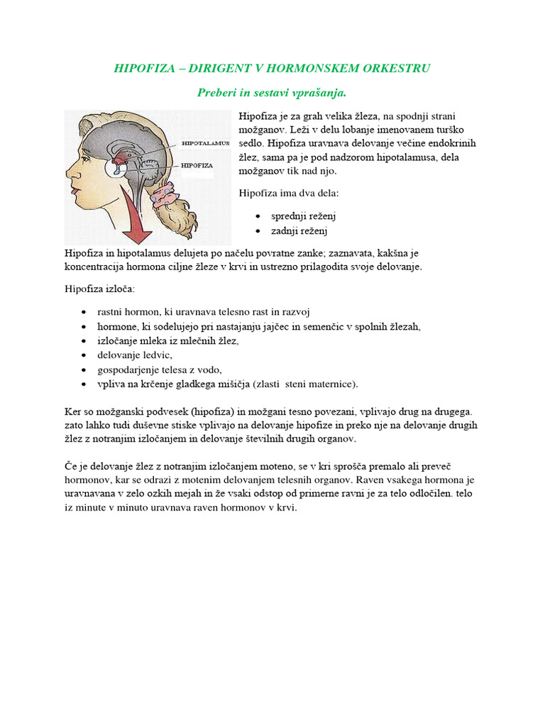 BIO 8.a Hormonske Žleze 2 | PDF