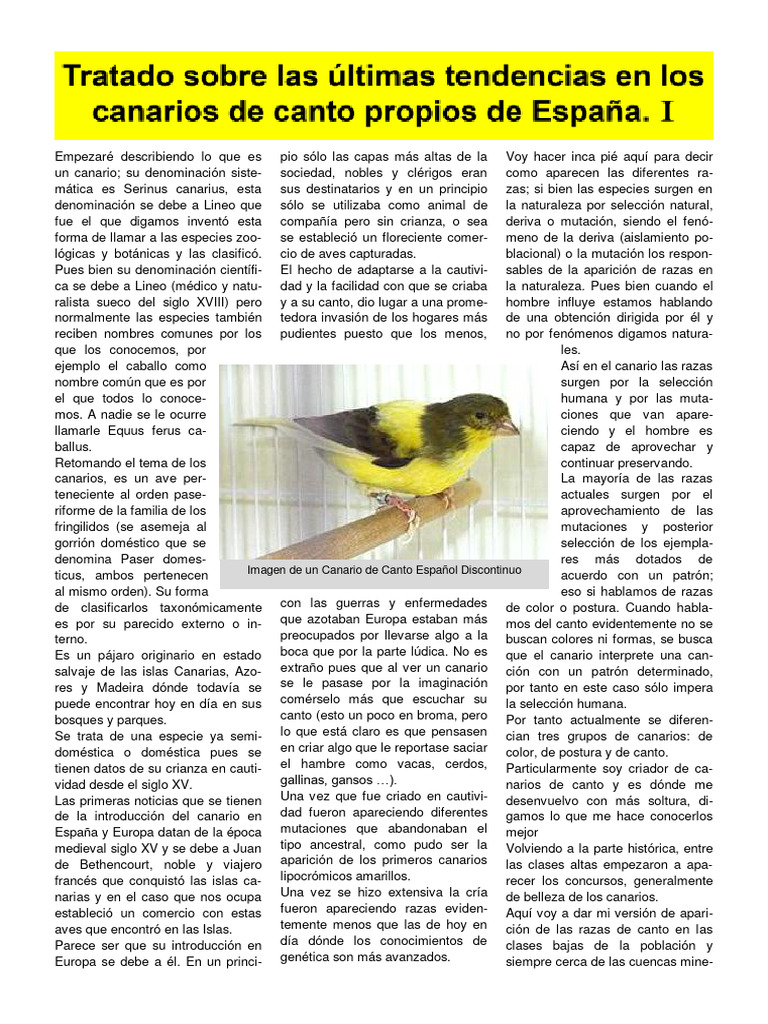 Razas y Canto de Canarios | PDF | Canto | Aves