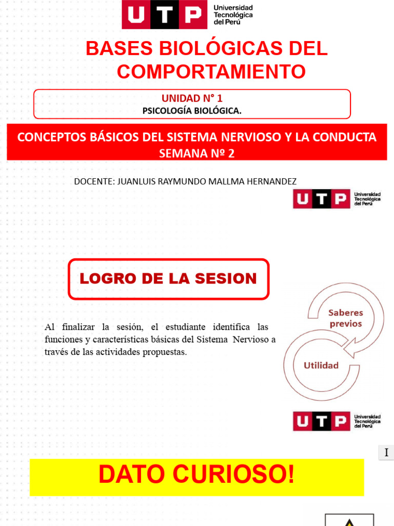 S02 - Conceptos Basicos Del SN | PDF