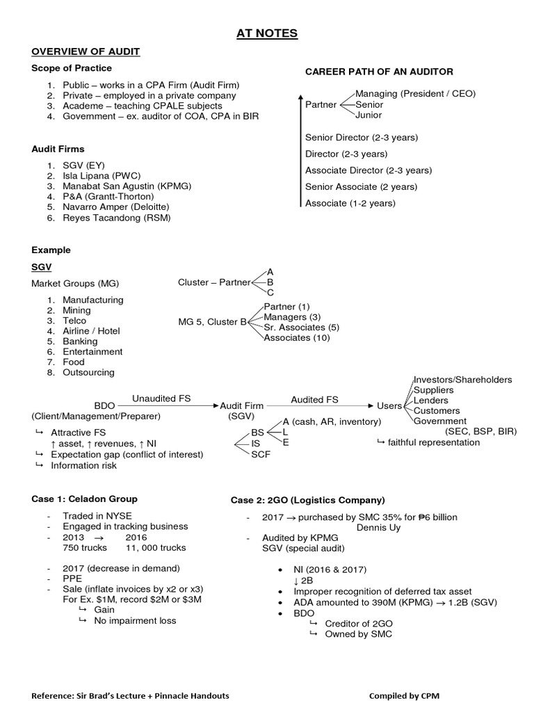 Audit Practices and Assurance Overview | PDF | Internal Control | Audit