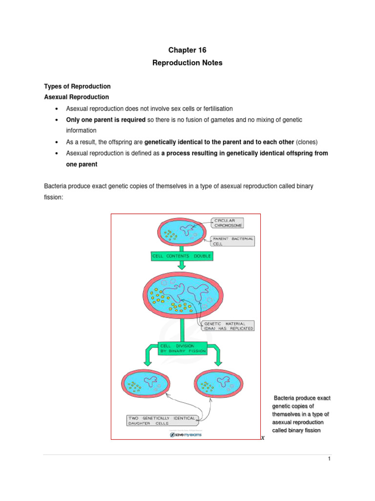 16 Reproduction Notes Igcse Biology | Download Free PDF | Menstrual ...