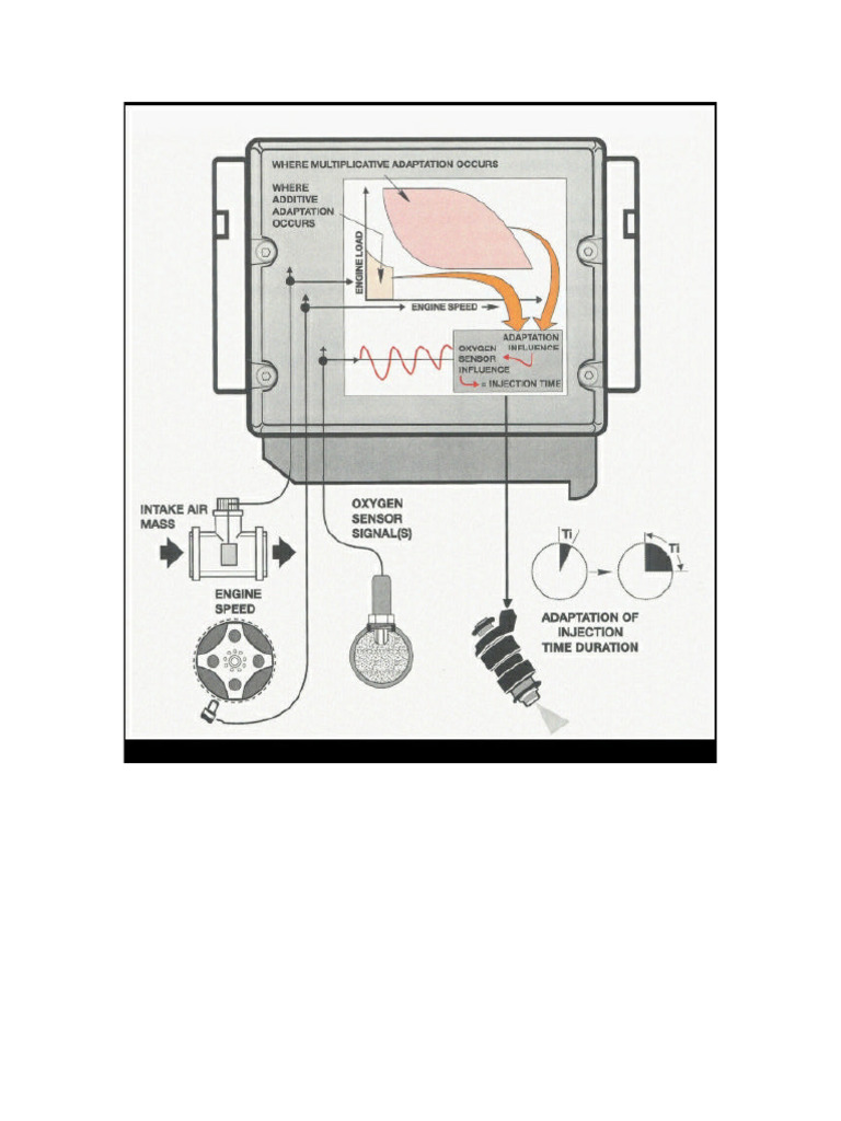 Fuel Trim | PDF