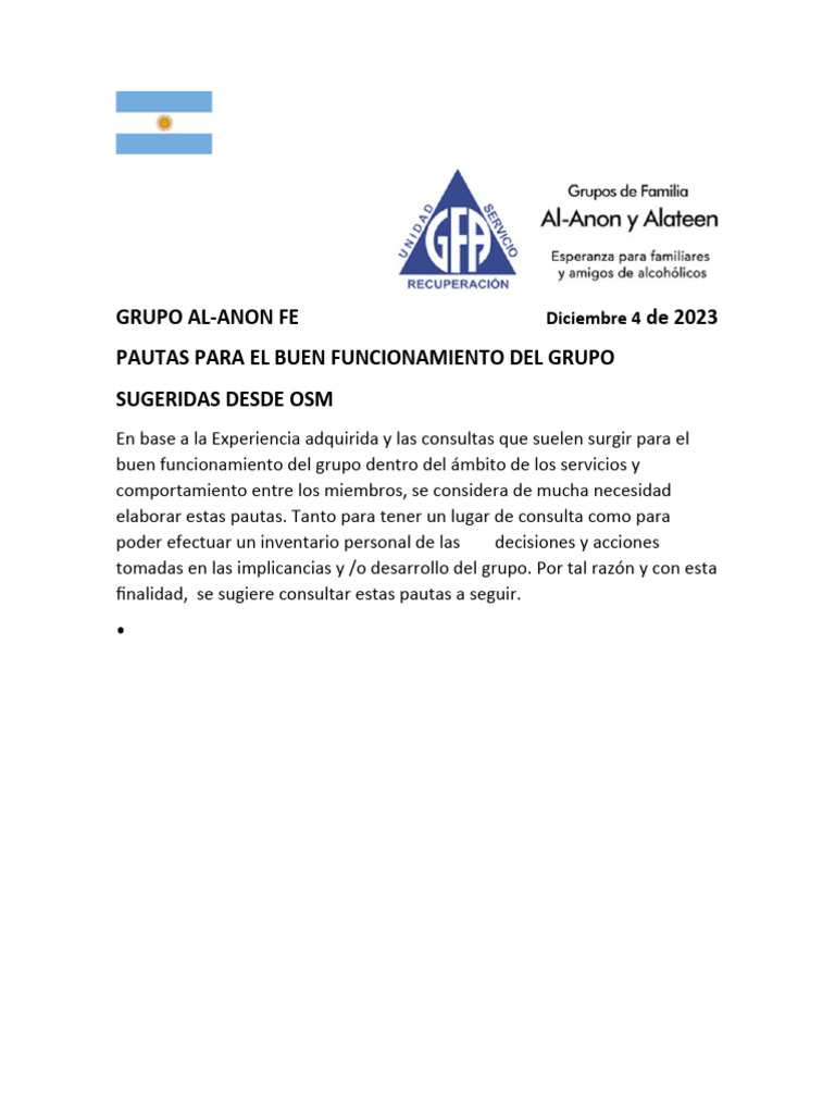 Pautas Osm | PDF | Chat en linea