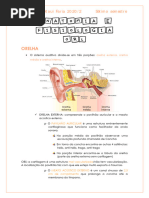 Anatomia da Orelha: Estruturas e Funções | PDF | Orelha | Audição