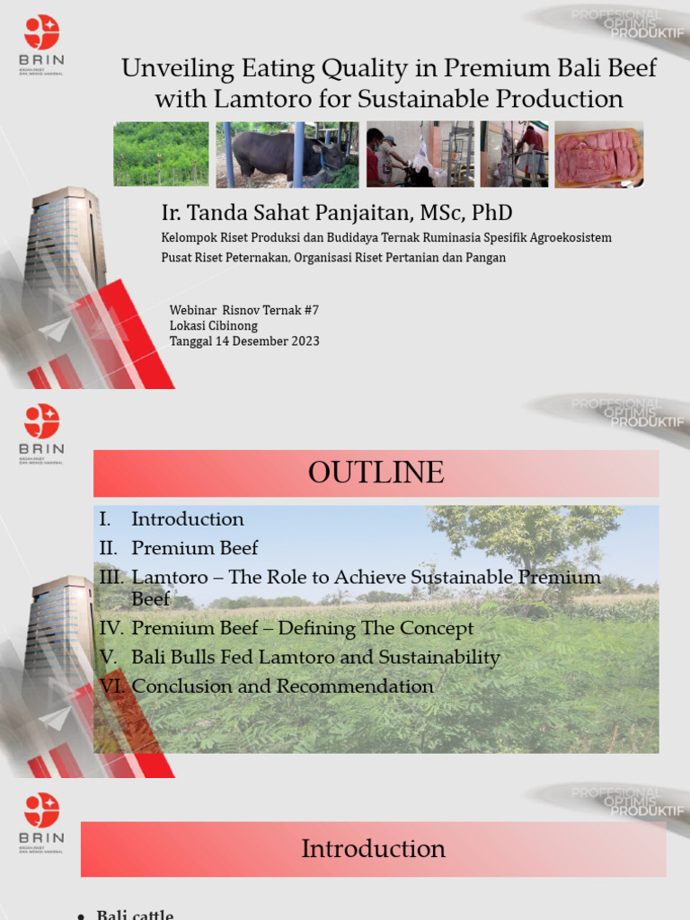 Bali Cattle Premium Beef | PDF | Meat | Beef