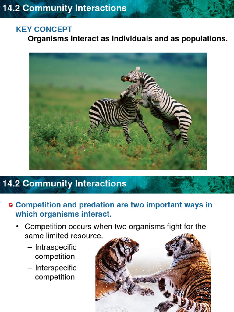 Community Interactions: Competition & Symbiosis | PDF | Parasitism ...